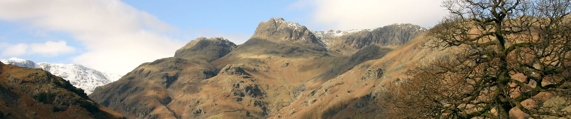 Millbeck Farm | Our Suppliers | Skyeskyns